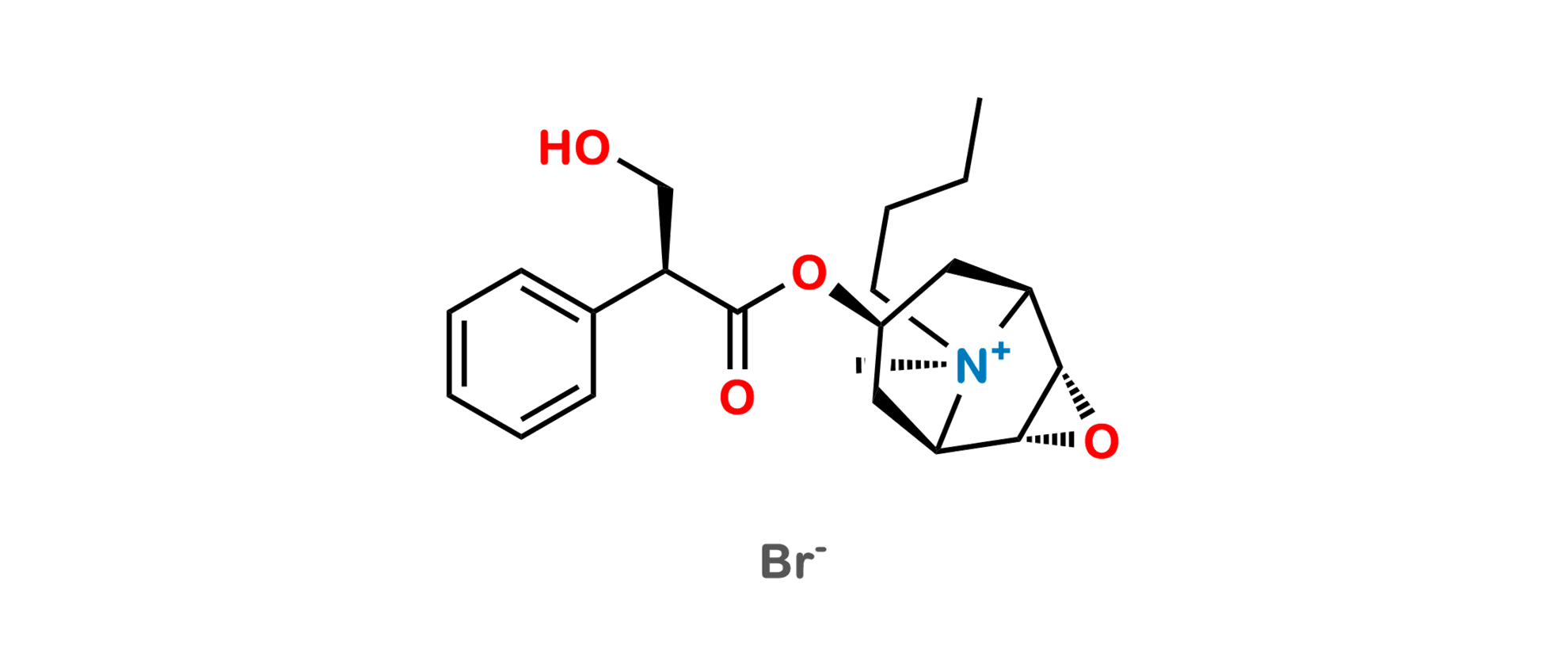Hyoscine Butylbromide | 149-64-4 | SynZeal