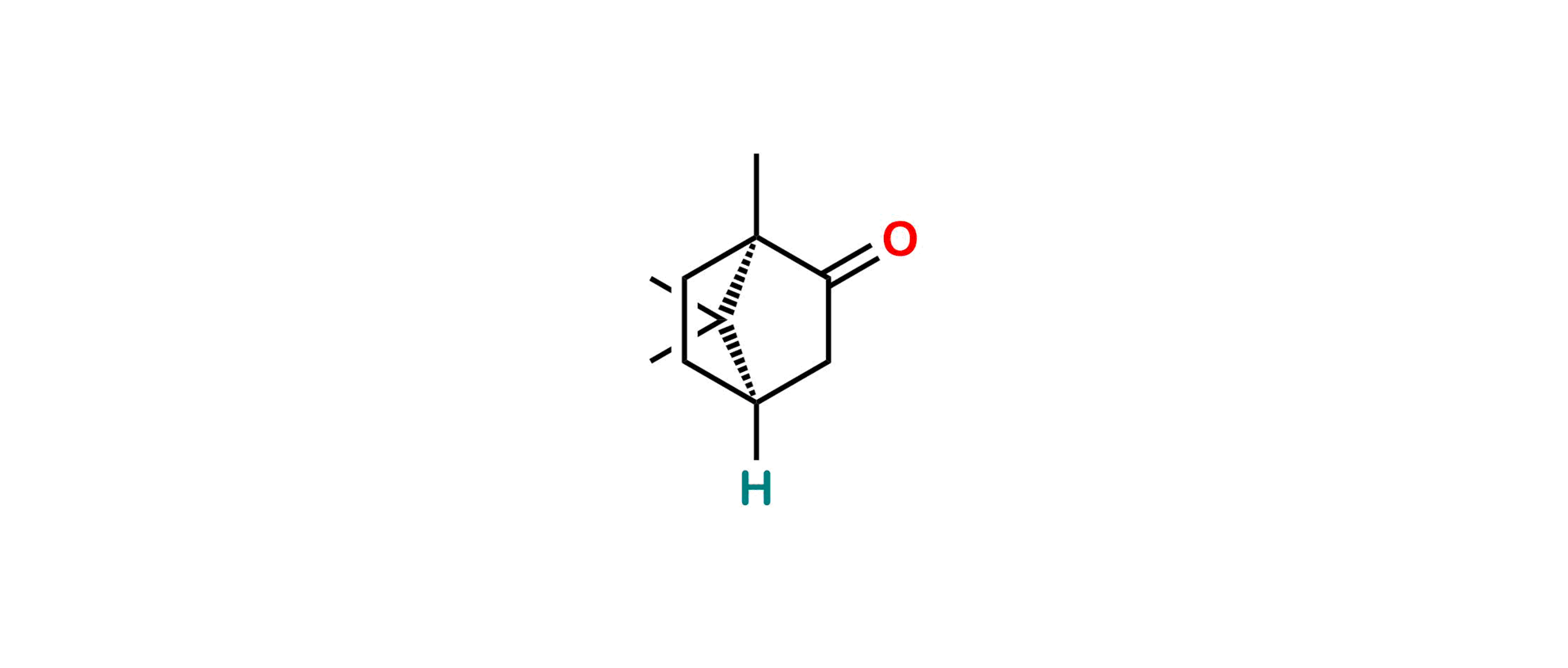 D-(+)-Camphor | 464-49-3 | SynZeal